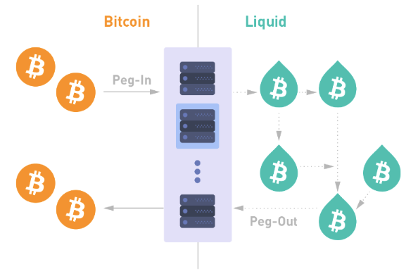 Bitcoin’s Liquid Network Explained | Educational Articles | CoinW Academy